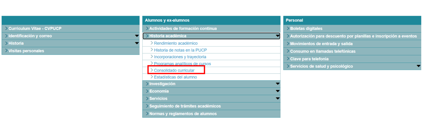 ¿Cómo revisar mi consolidado curricular? - Generales letras PUCP